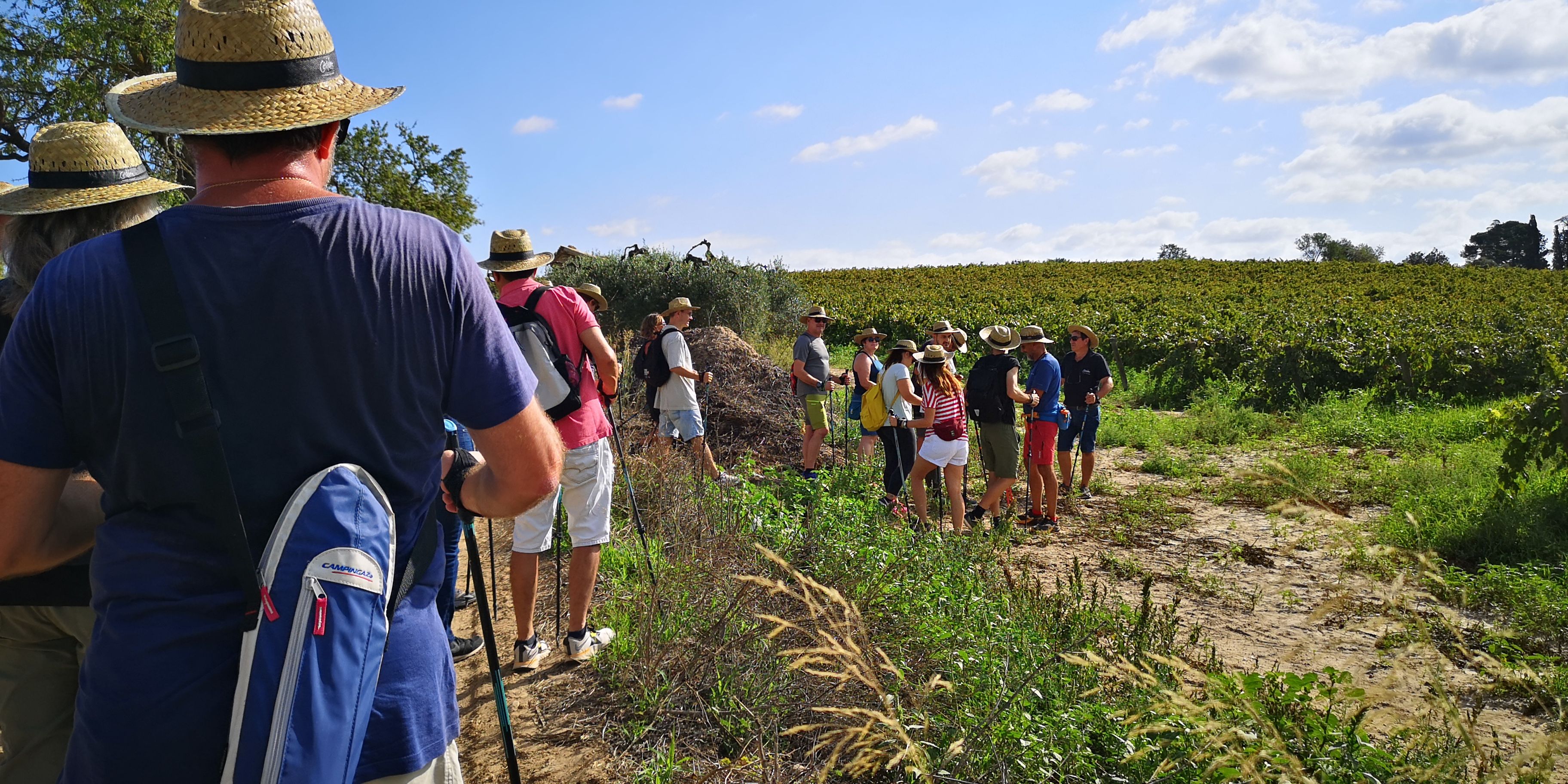 Neules farcides de mousse de torró