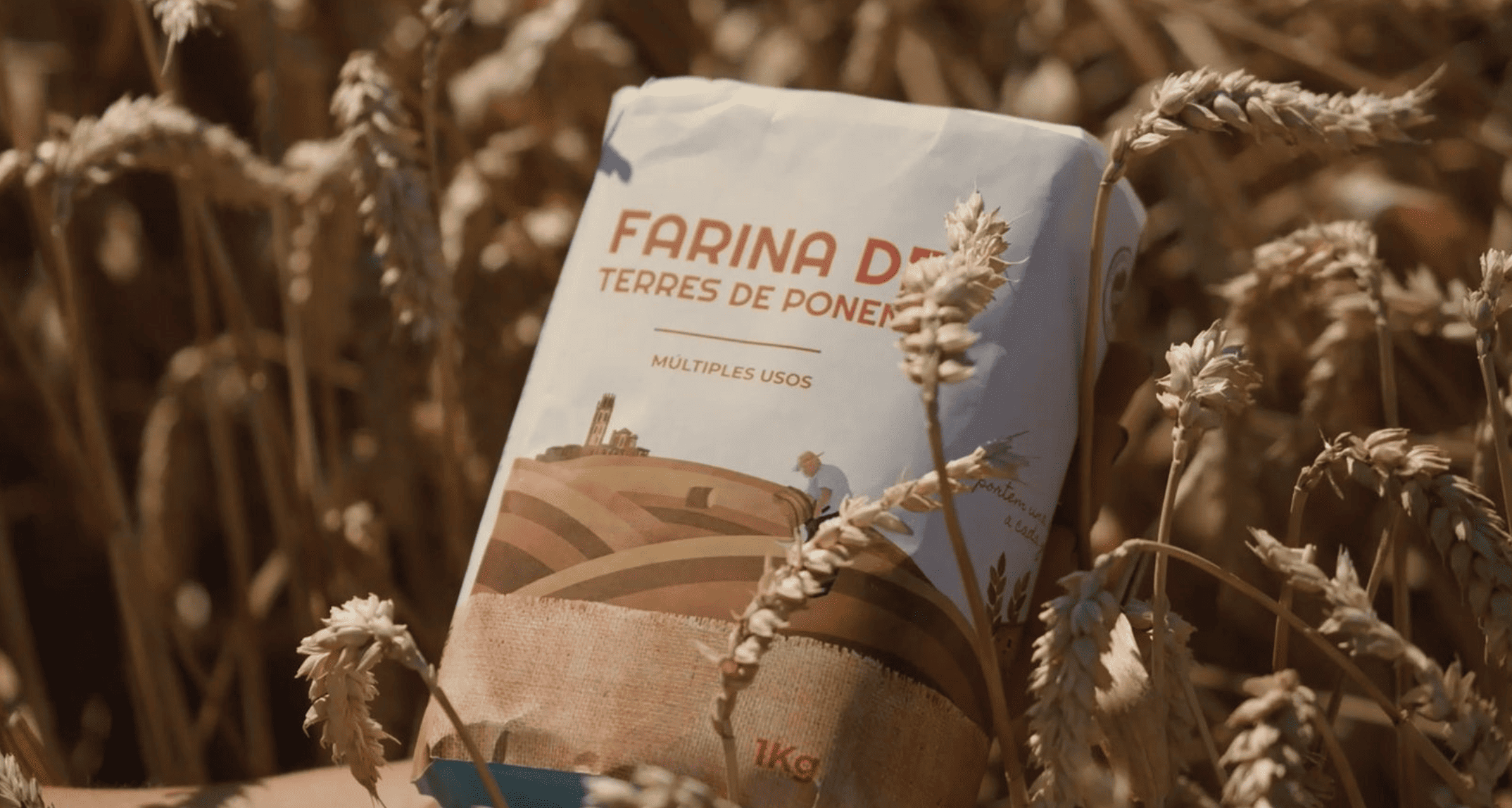 Moretó presenta Terres de Ponent, la nova farina que reivindica la ...