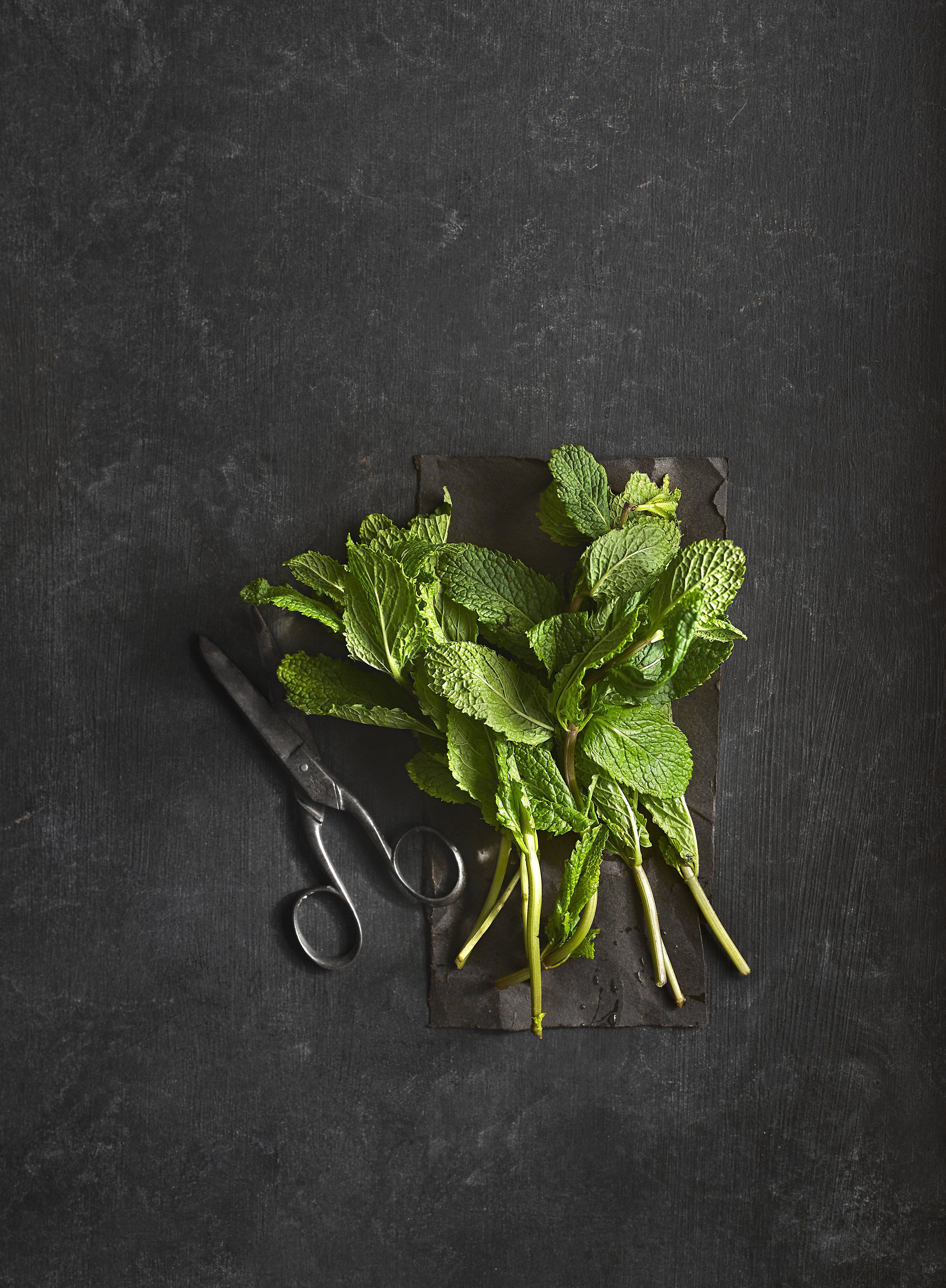 Consejos para cocinar con menta