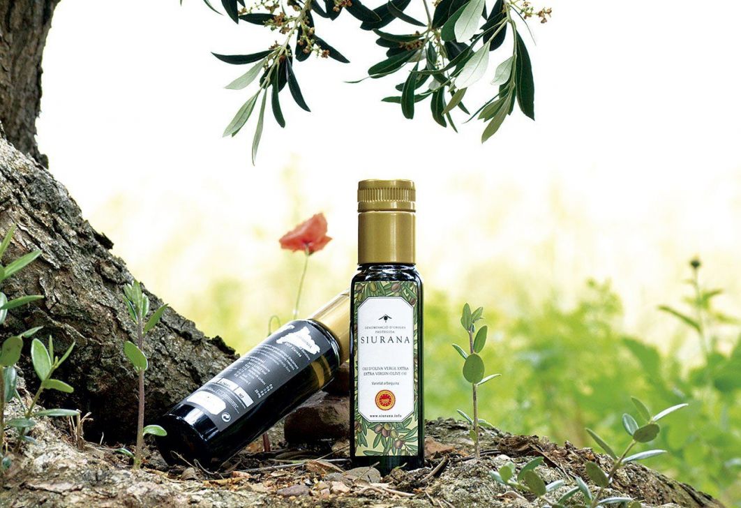 DOP Siurana impulsa tallers divulgatius de l’oli d’oliva verge extra